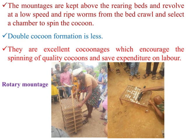 9 chapter silkworm rearing plan , rearing house plan and equipments | PPTX