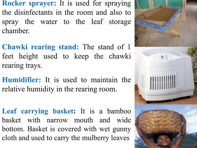 9 chapter silkworm rearing plan , rearing house plan and equipments | PPTX