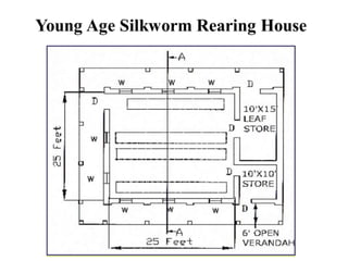 Silkworm Rearing House