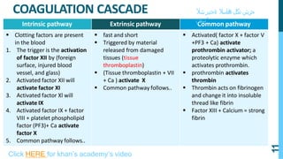 9-Coagulation mechanism.pptx nbhghhrygdch | PPT