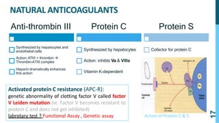 9-Coagulation mechanism.pptx nbhghhrygdch | PPT