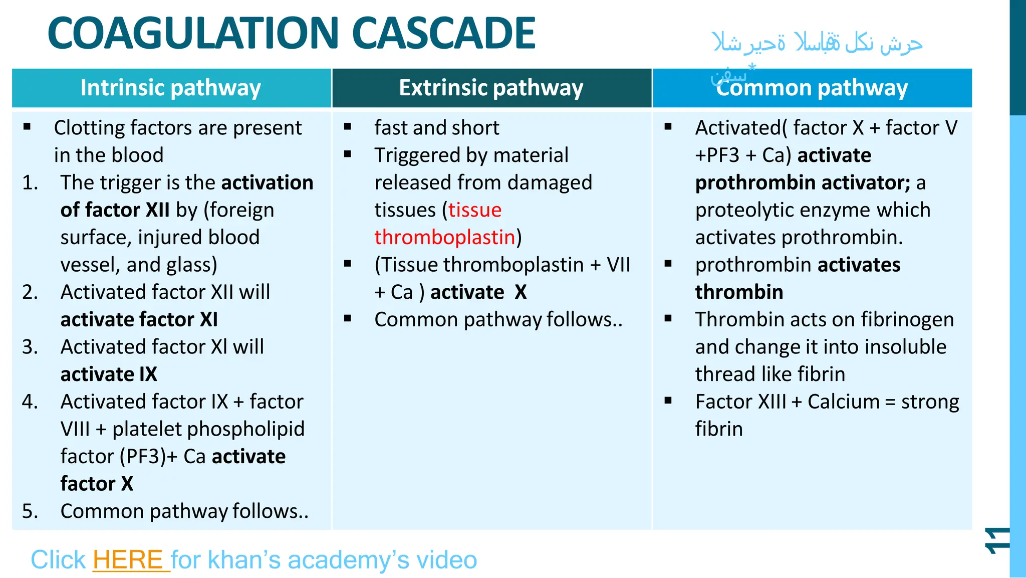 9-Coagulation mechanism (1).pptx HD ffugg | PPTX