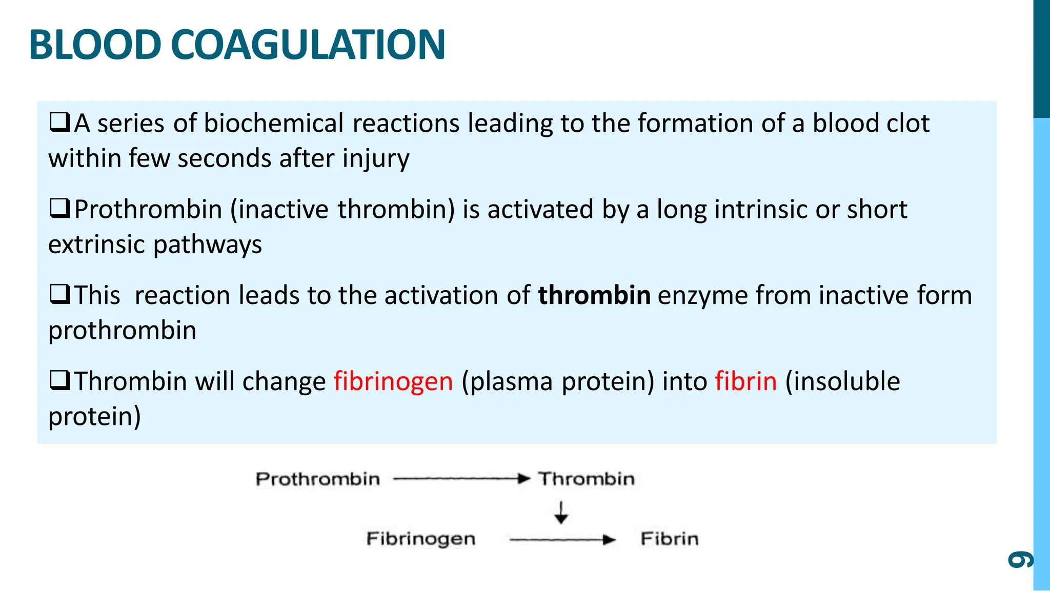 9-Coagulation mechanism (1).pptx HD ffugg | PPTX