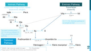 9-Coagulation mechanism (1).pptx HD ffugg | PPTX