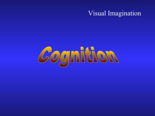 9 cognition | PPT
