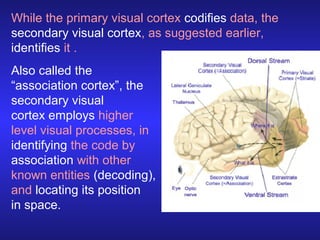 9 cognition | PPT