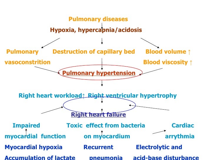 9.Cor Pulmonale