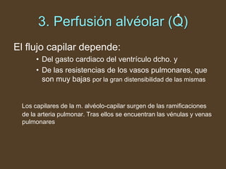 Aparato respiratorio. | PPTX