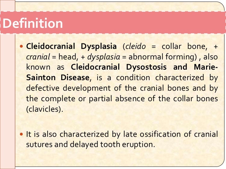 Cleidocranial Dysplasia Meaning – XLYIJJ
