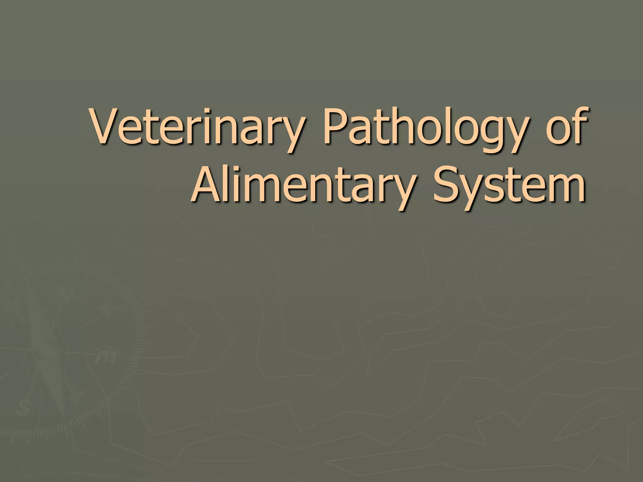 Veterinary Pathology of Alimentary System | PPT