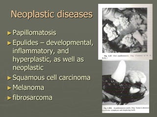 Veterinary Pathology of Alimentary System | PPT
