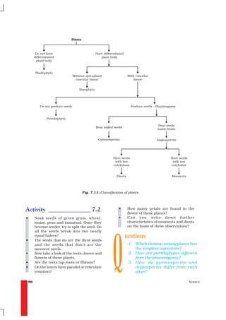 9 diversity in living organisms | PDF