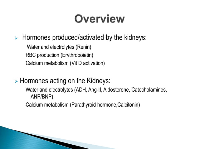 9-ENDOCRINE FUNCTIONS OF THE KIDNEYS LECTURE.ppx.pptx | Endocrine and ...