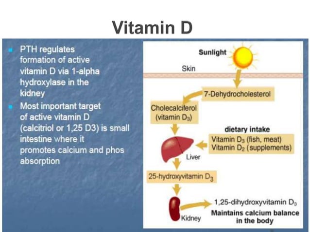 9-ENDOCRINE FUNCTIONS OF THE KIDNEYS LECTURE.ppx.pptx | Endocrine and Metabolic Diseases ...
