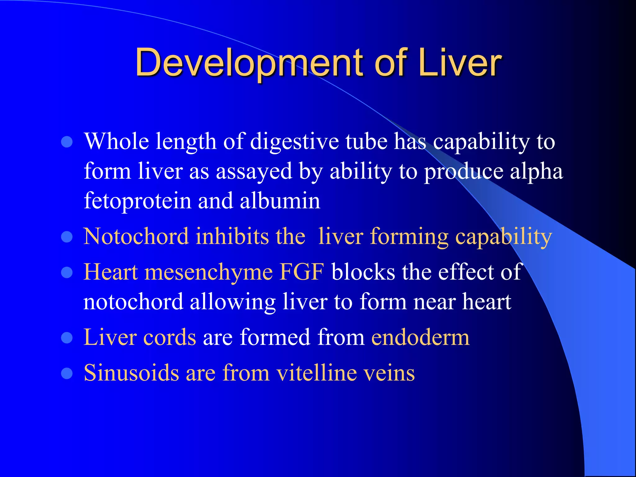 9 - Endodermal derivatives-53.ppt
