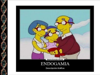 9 endogamia | PPTX