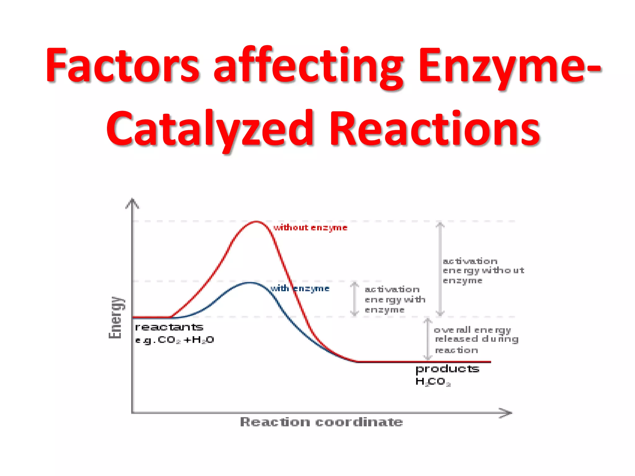 Factors affecting enzymes | PDF