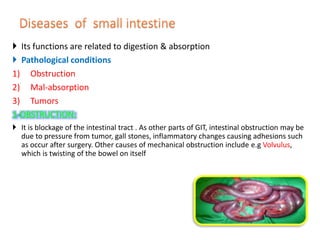 9-Gastrointestinal and hepatobiliary function.pptx