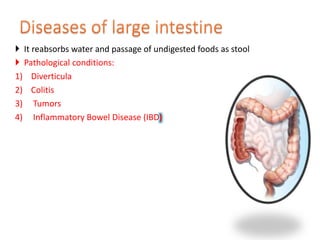 9-Gastrointestinal and hepatobiliary function.pptx