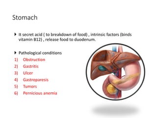 9-Gastrointestinal and hepatobiliary function.pptx
