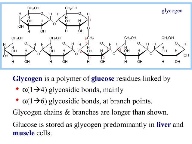 9 glycogen