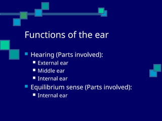 9-Hearing..ppt hearing process in the ear | PPT