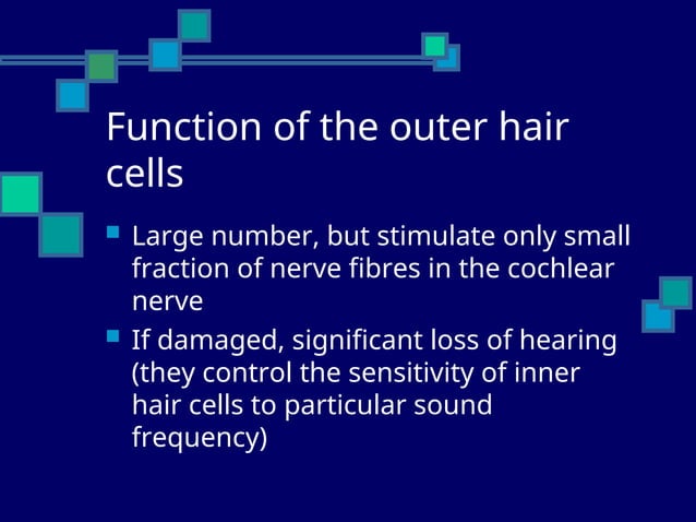 9-Hearing..ppt hearing process in the ear | PPT