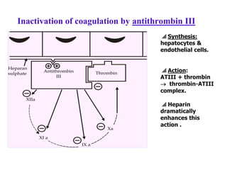 9-Hypercoagulability.ppt bbnnkkkkkyggfffvvbhh | PPT
