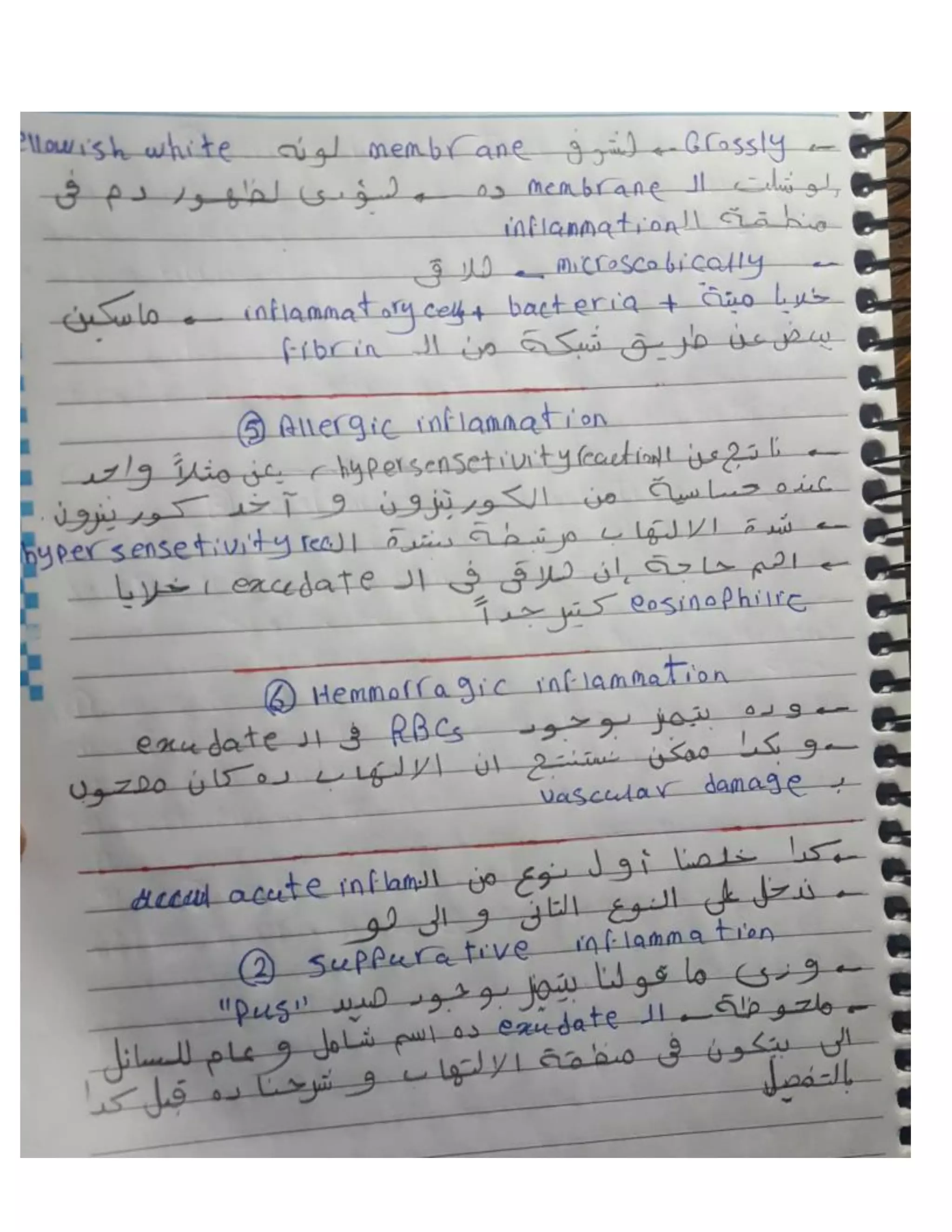 9 inflammation 4 types | PDF