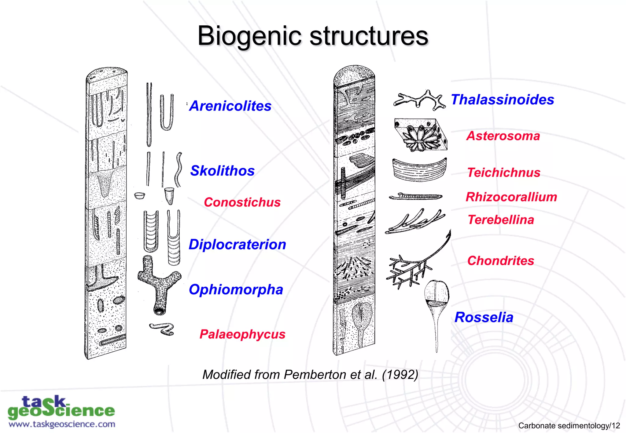 9 - Interpretation of carbonates.ppt