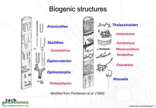 9 - Interpretation of carbonates.ppt