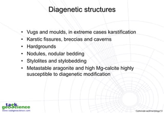 9 - Interpretation of carbonates.ppt