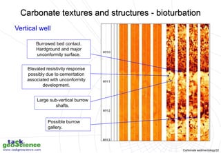 9 - Interpretation of carbonates.ppt