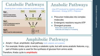 Introduction to metabolism.pptx biotechnology engineering | PPT