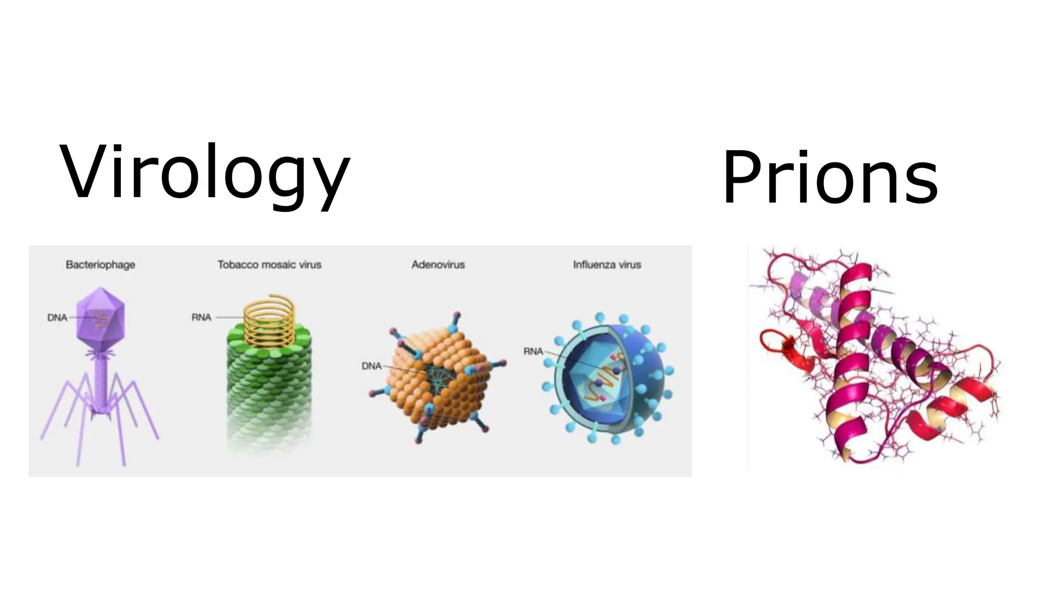 9- Introduction to Virology and Prions.pptx