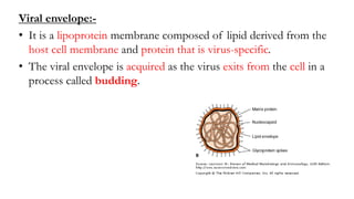 9- Introduction to Virology and Prions.pptx