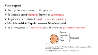 9- Introduction to Virology and Prions.pptx
