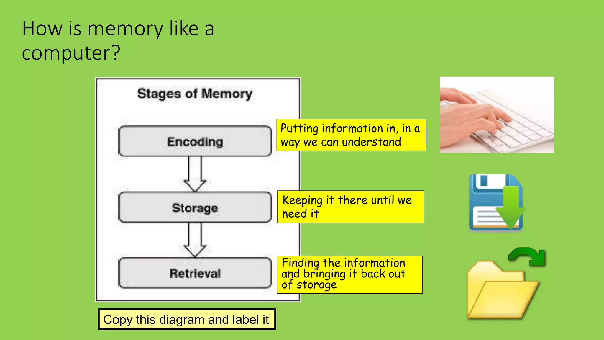 9 intro to multi-store model of memory | PPTX | Internet for Beginners ...