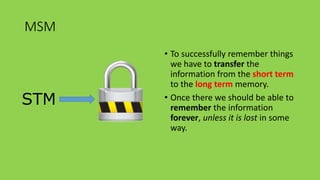 9 intro to multi-store model of memory | PPTX