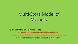 9 intro to multi-store model of memory | PPTX | Internet for Beginners ...