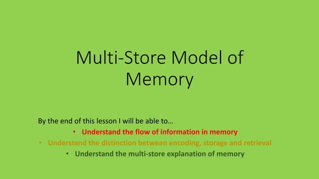 9 intro to multi-store model of memory | PPTX | Internet for Beginners ...