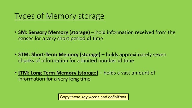 9 intro to multi-store model of memory | PPT