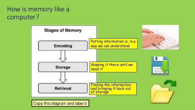 9 intro to multi-store model of memory