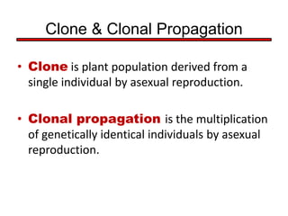 9- In vitro multiplication..pptx