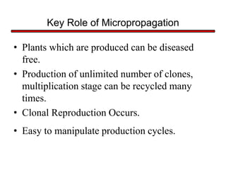 9- In vitro multiplication..pptx