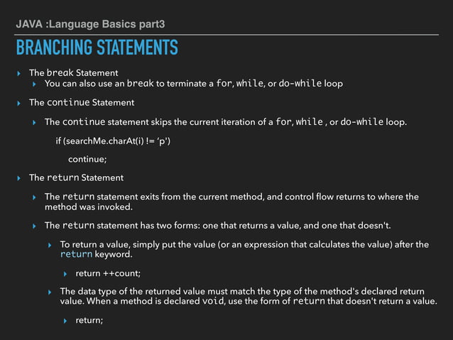 9-java language basics part3 | PPT