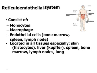 9- L4 White Blood Cells.pptx