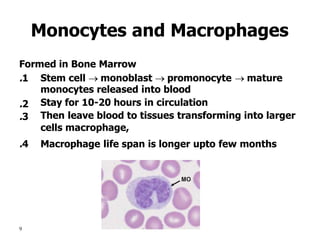 9- L4 White Blood Cells.pptx