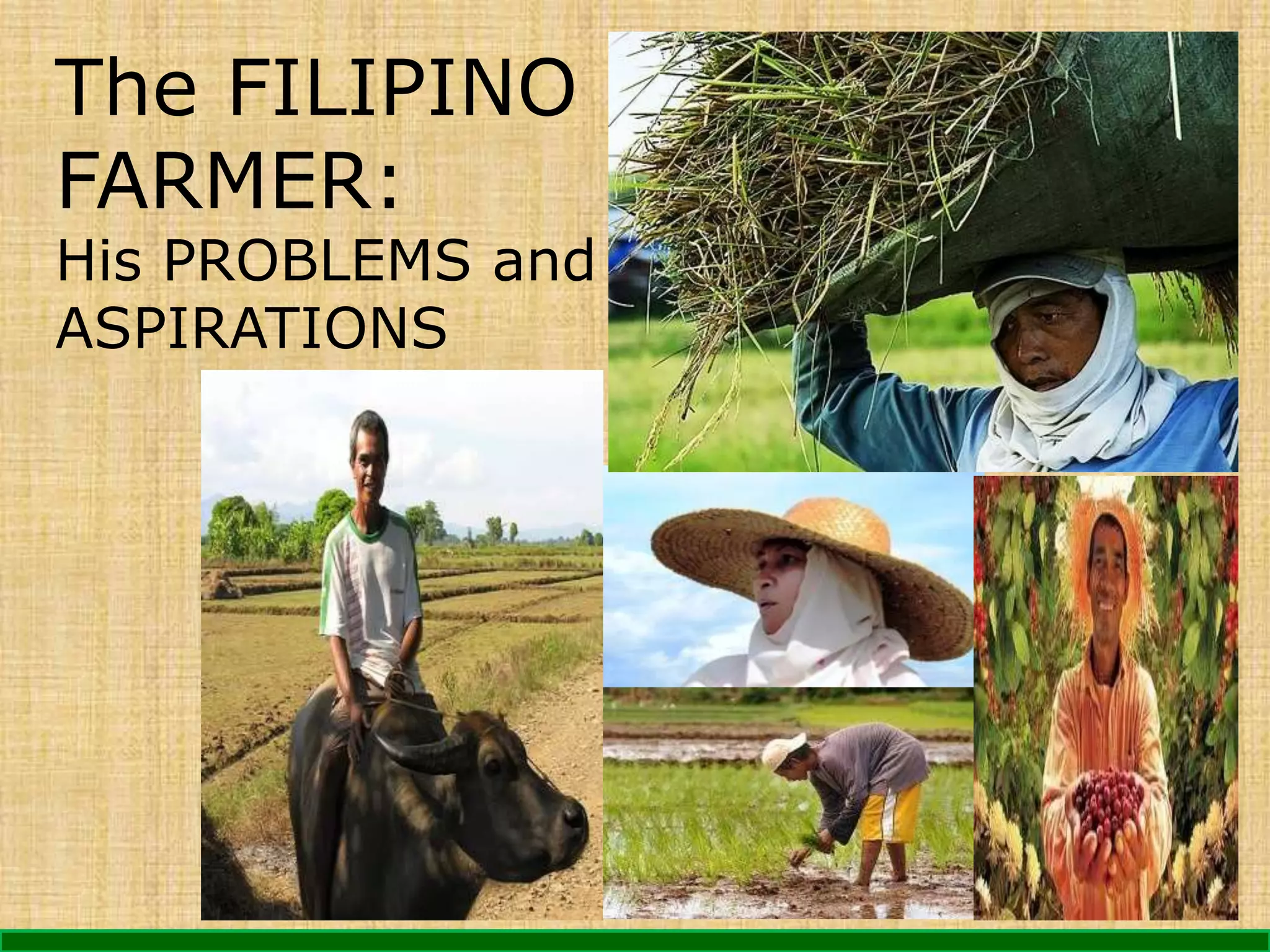 The Profile of the Filipino Farmer | PPTX