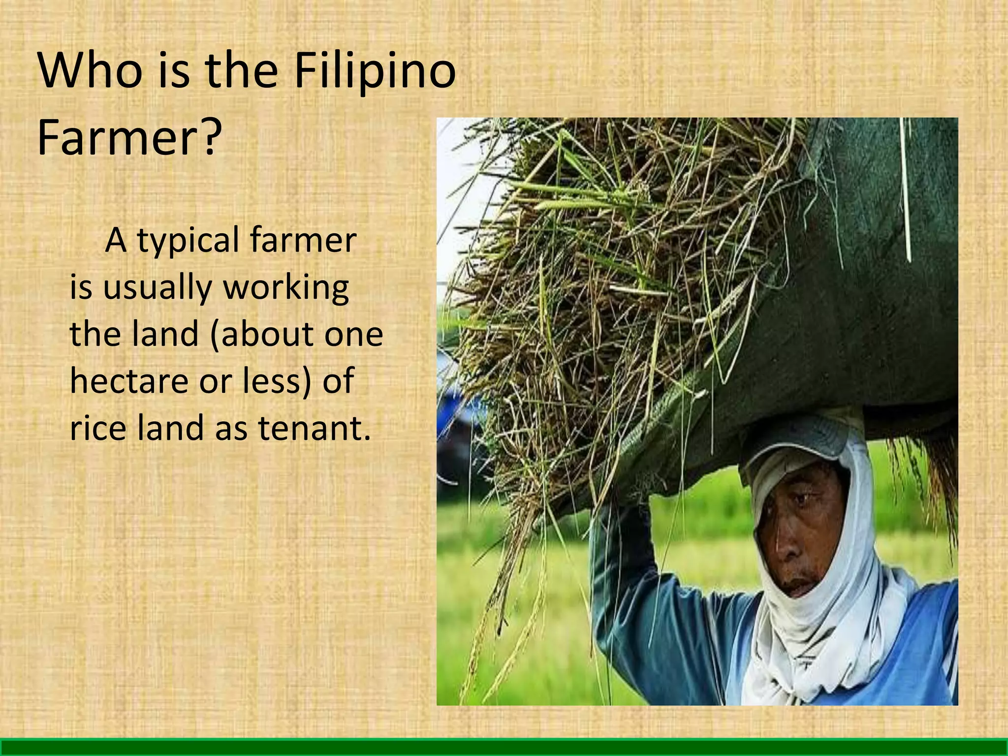 The Profile of the Filipino Farmer | PPTX